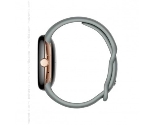 Google Pixel Watch LTE 41mm Champagne Gold and Hazel Active band ...